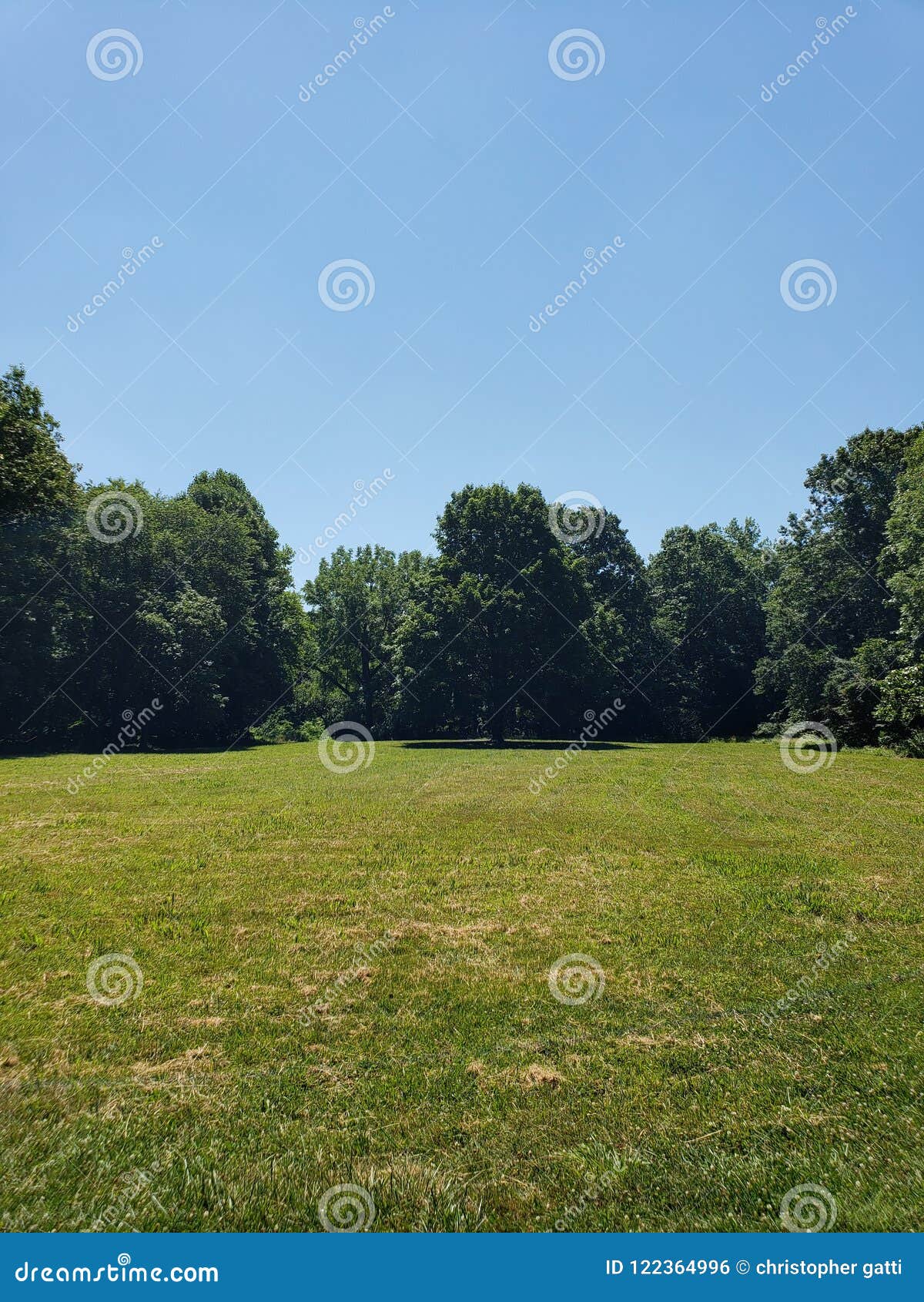Beautiful field stock photo. Image of field, nice, peaceful - 122364996