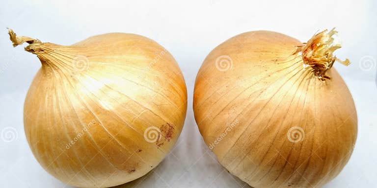 A picture of onions , stock photo. Image of healthy - 153260810