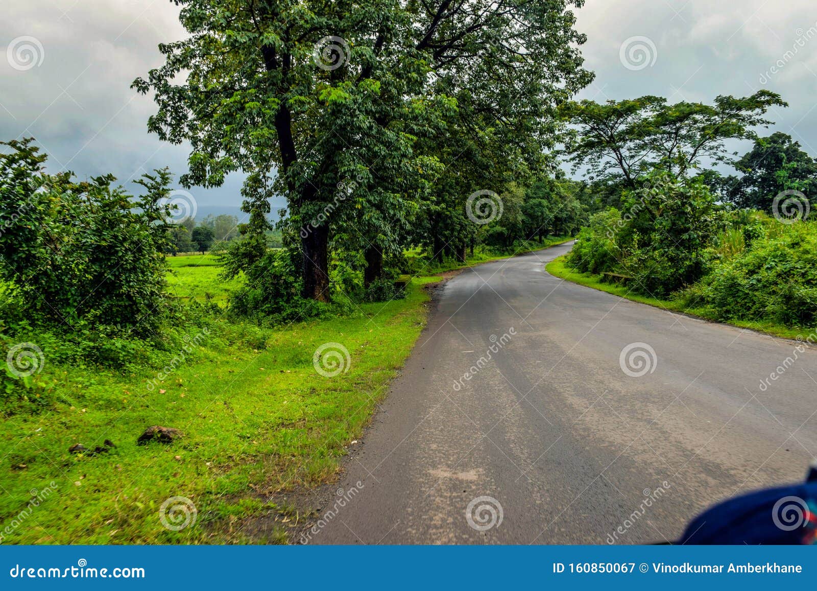 Picture of a Path Taking To the Dense Forest in Monsoon in India Stock ...