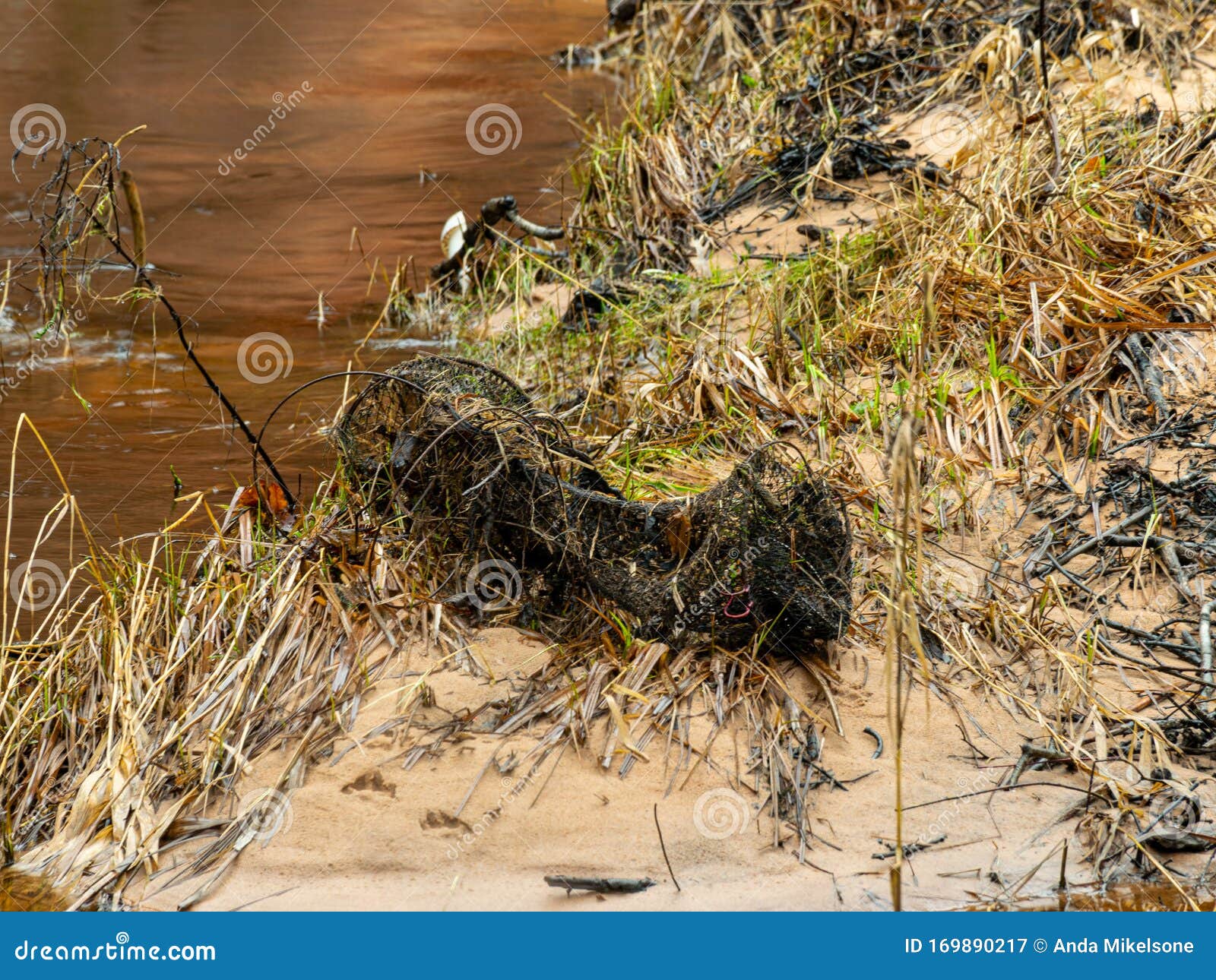 Picture of People Leaving Garbage on the River Bank Stock Image - Image ...