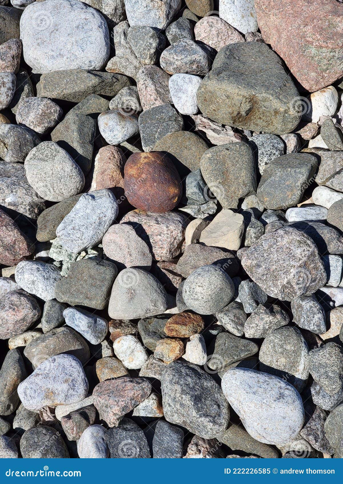 A Picture of a Pile of Rocks Stock Image - Image of soil, wood: 222226585