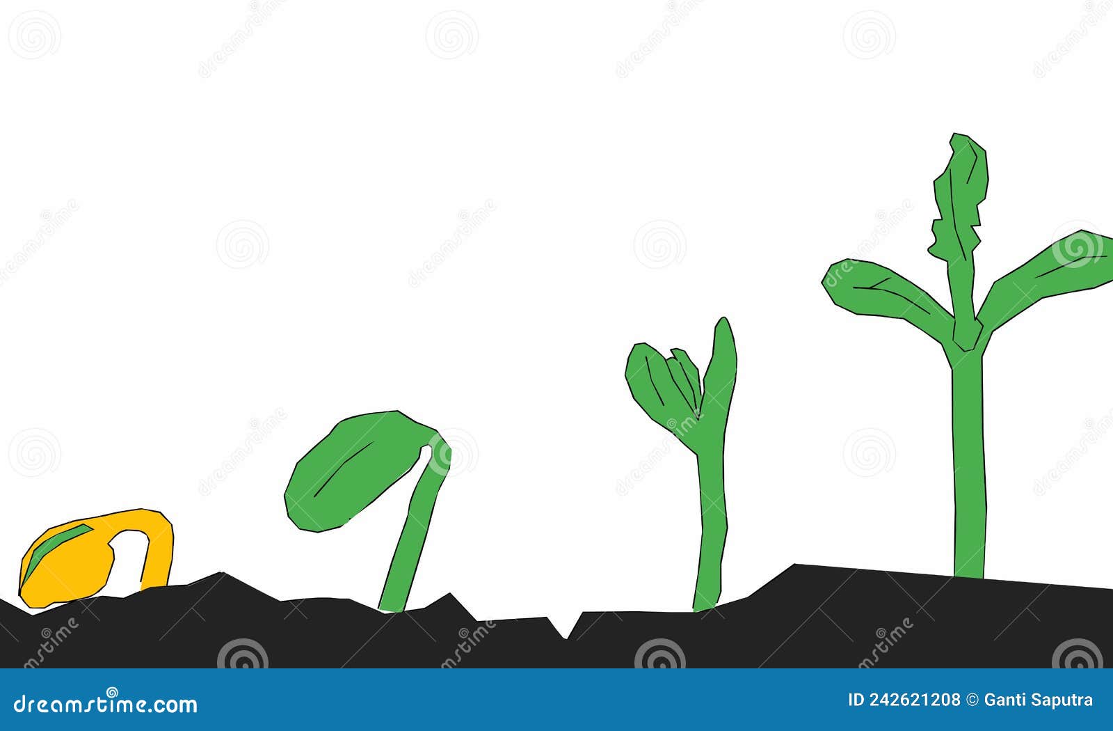 This Picture is about the Process of Shoots Growing from the Ground ...