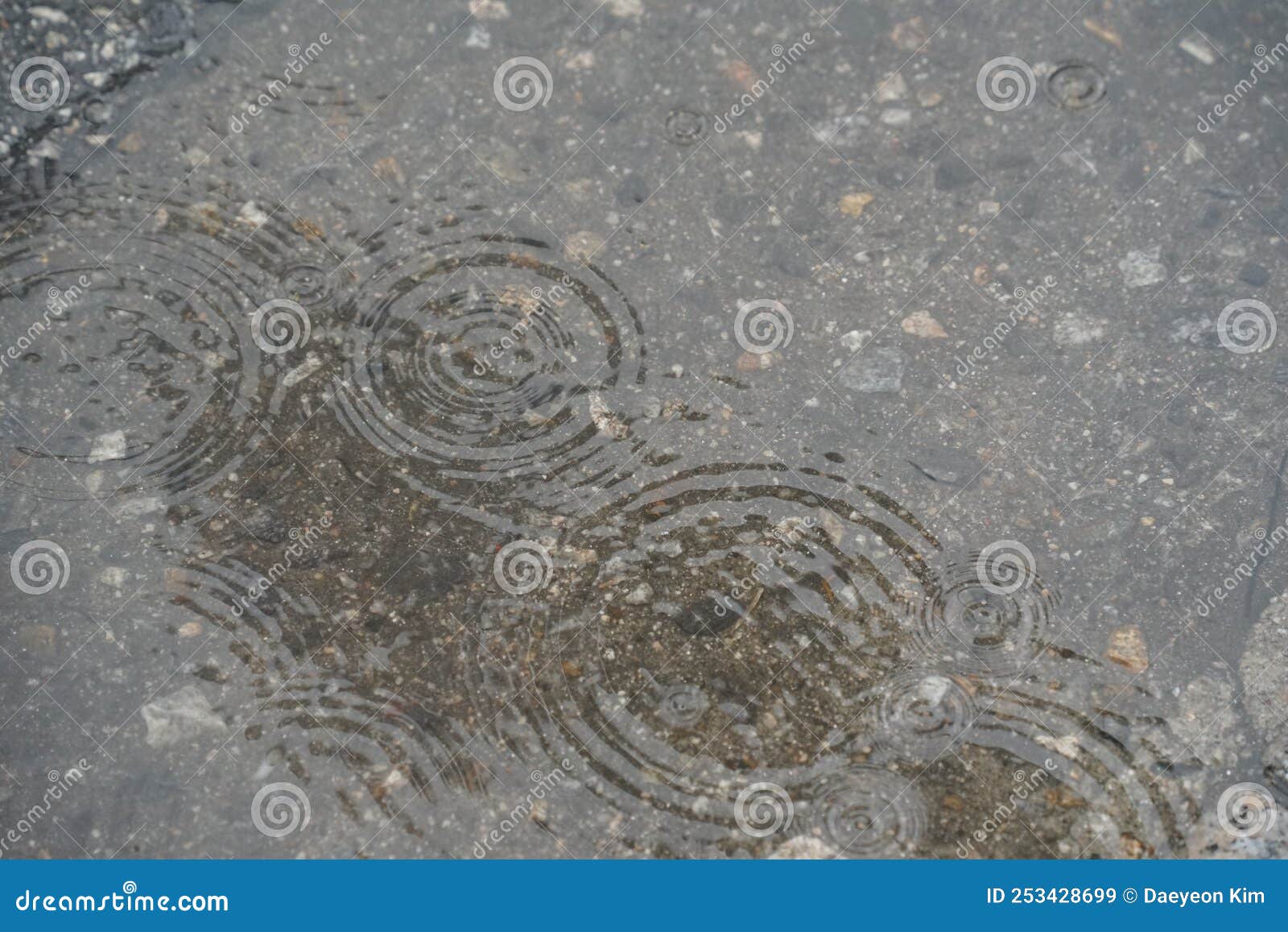 A Picture of Raindrops Falling Down Stock Image - Image of raindrops ...