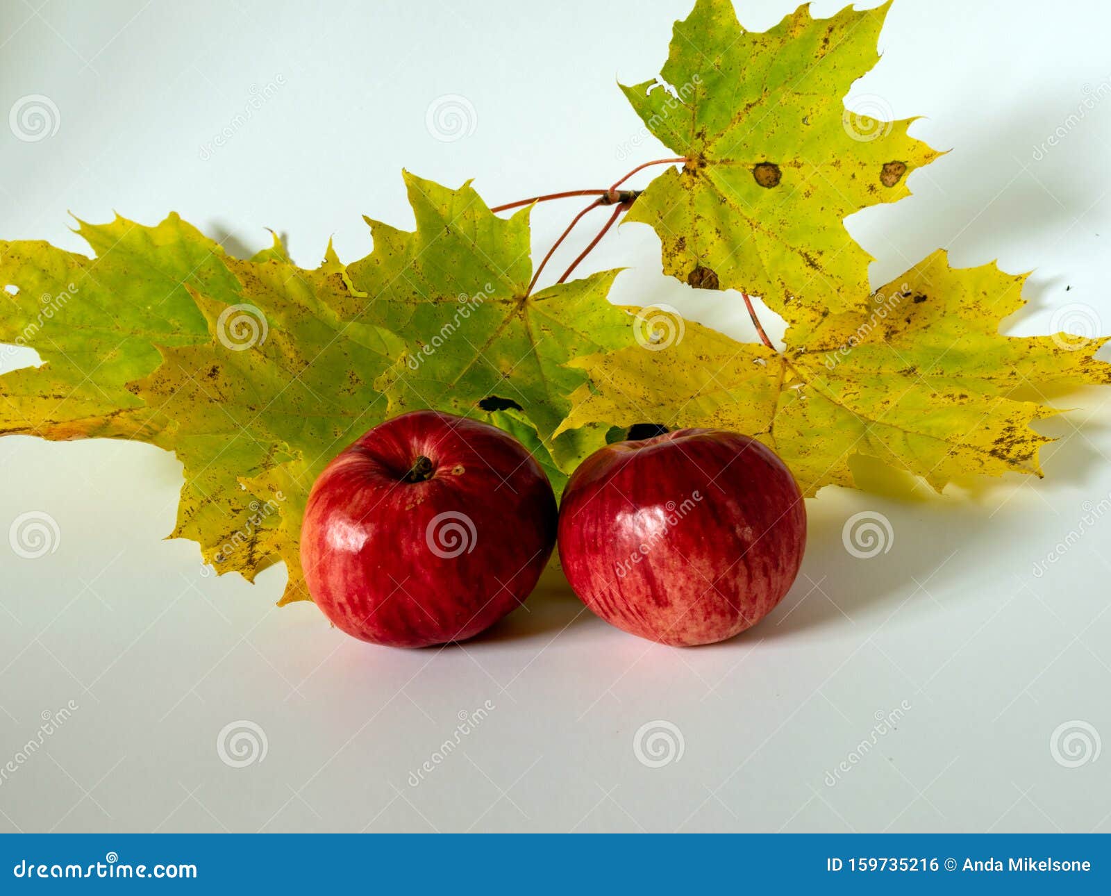 Picture with Red Apples on Colored Maple Leaf Background Stock Photo ...