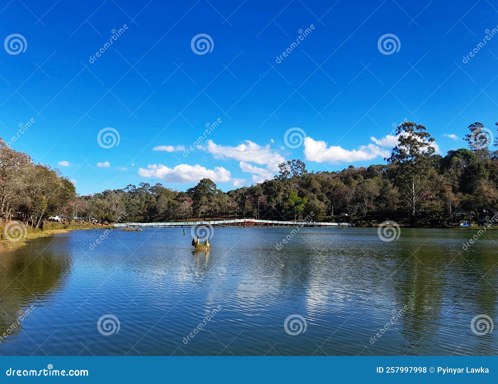 A Picture of a River and a Forest Dam in Asia. Stock Photo - Image of ...