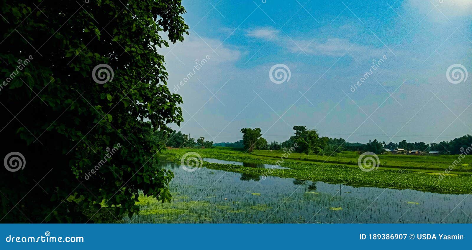 This Picture is of a River Which Has More Greenery Greenery Stock Image ...