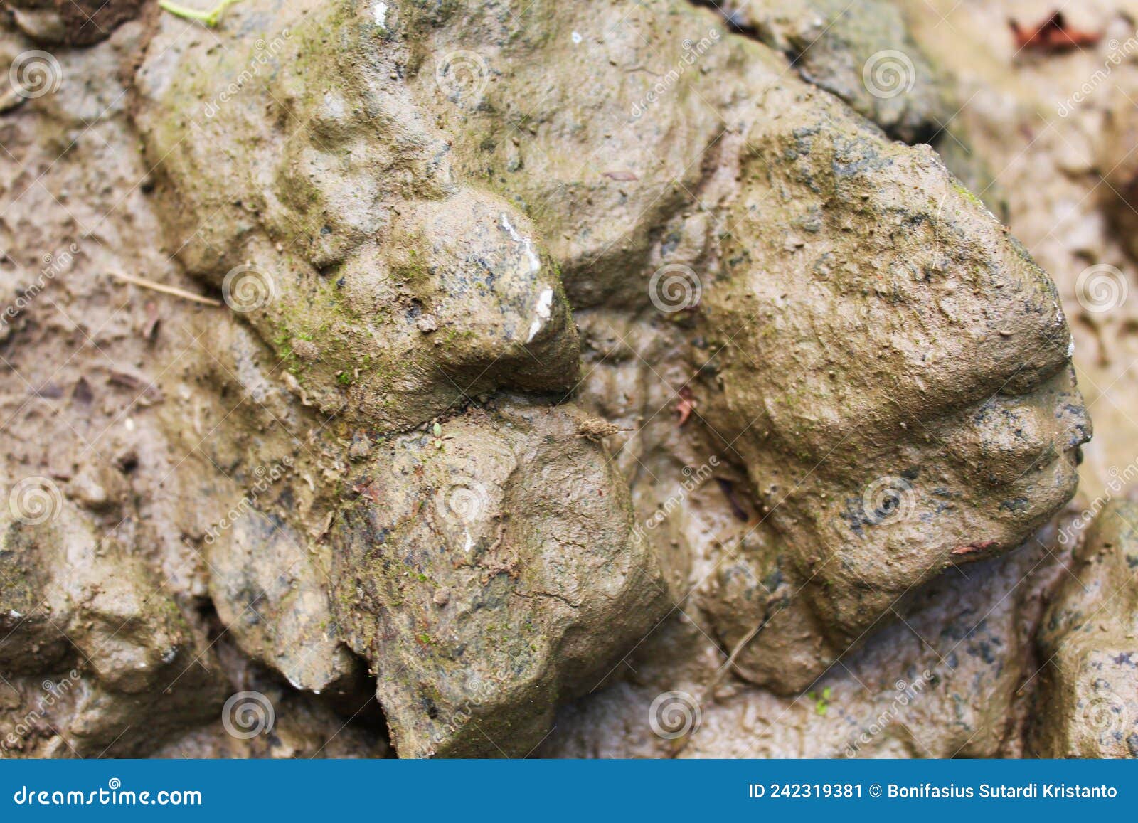 Rocks and mud stock image. Image of rocks, texture, river - 242319381