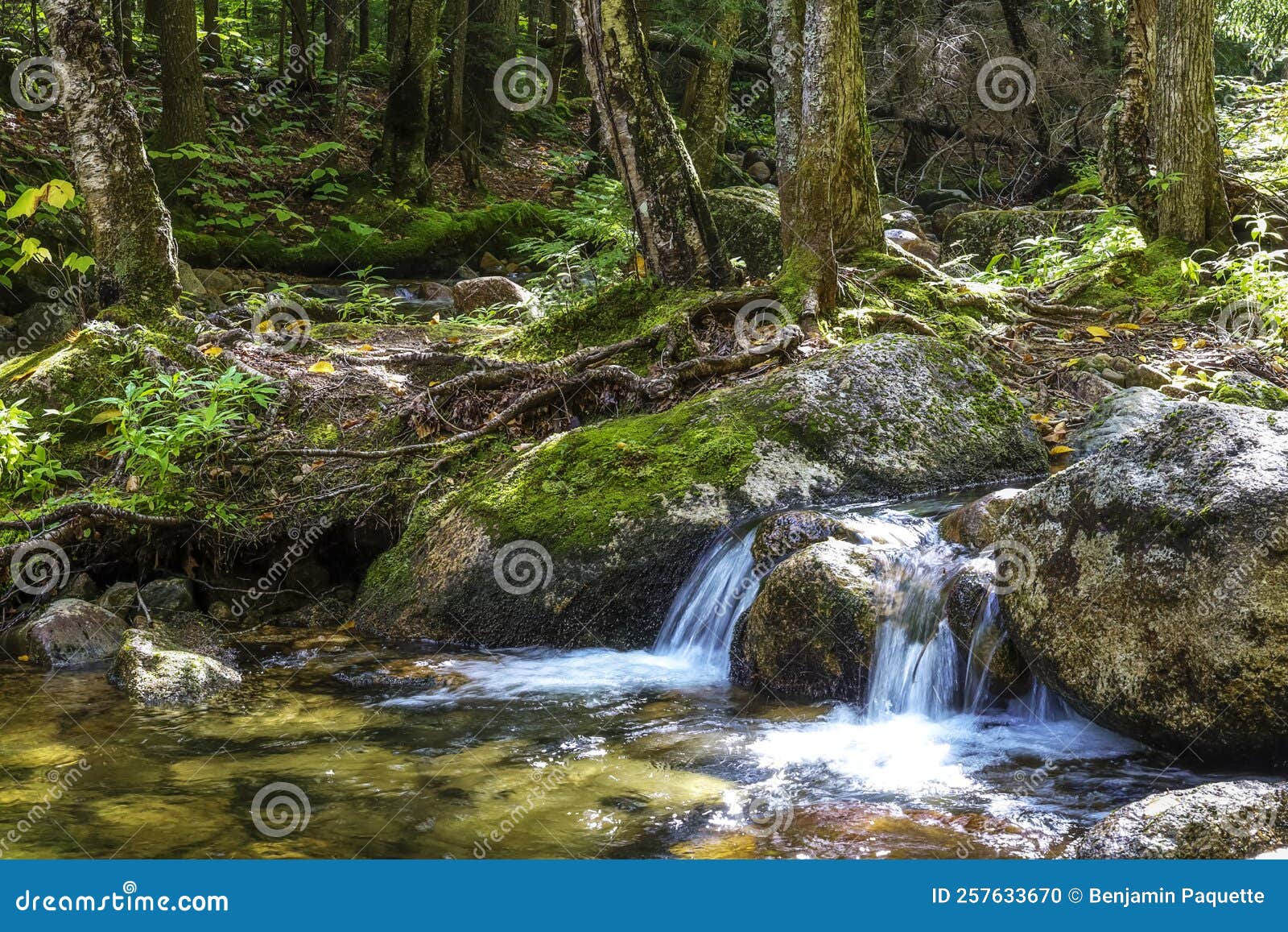 Rushing River Going through the Forest between Mountains in the Fall ...