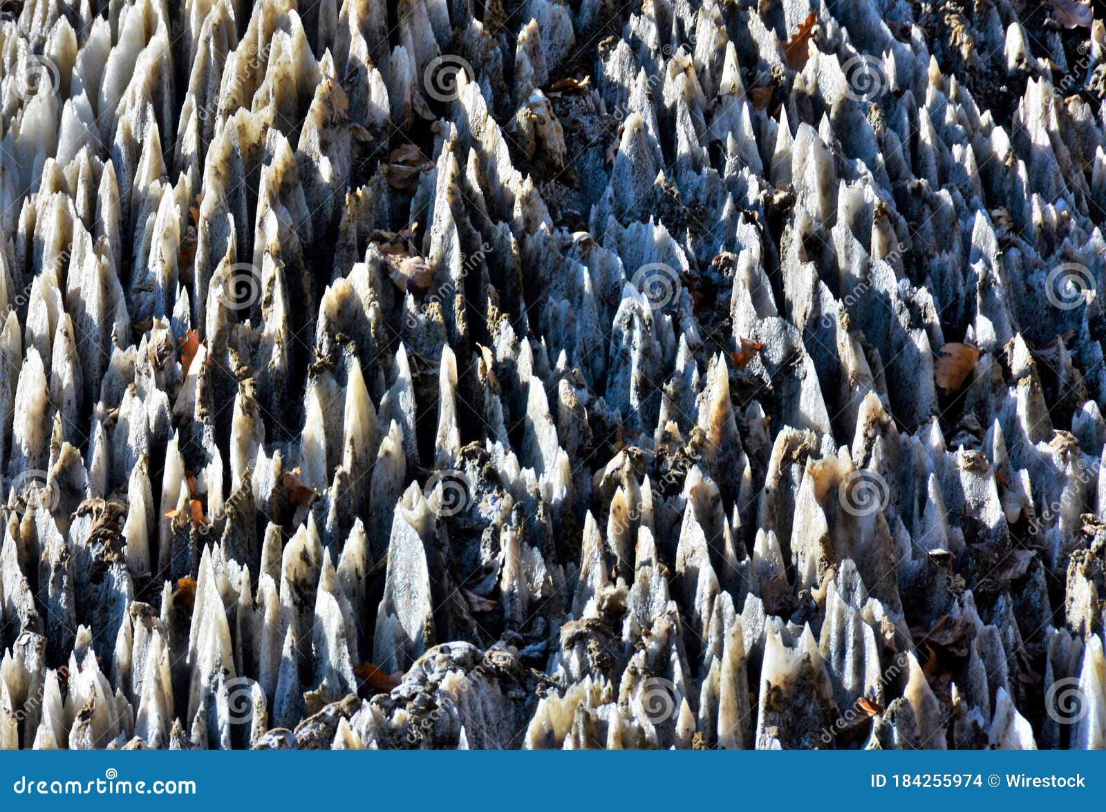 Picture of Salt Rock Eroded by Rain Stock Photo - Image of geology ...