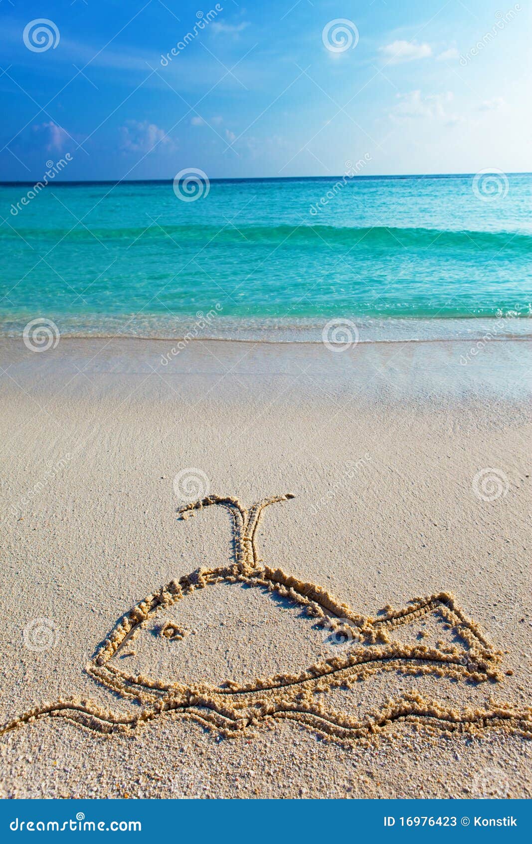 A picture on sand- whale stock image. Image of sunny - 16976423