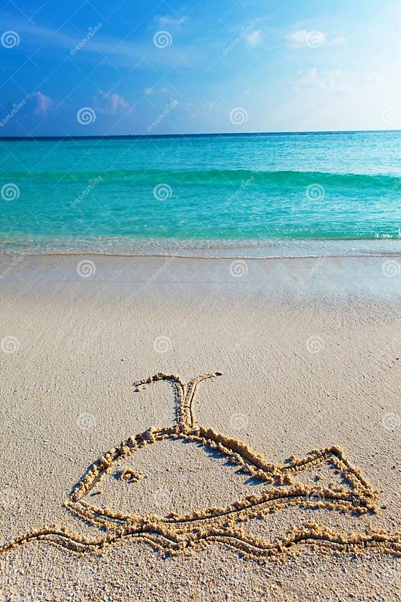 A picture on sand- whale stock image. Image of sunny - 16976423