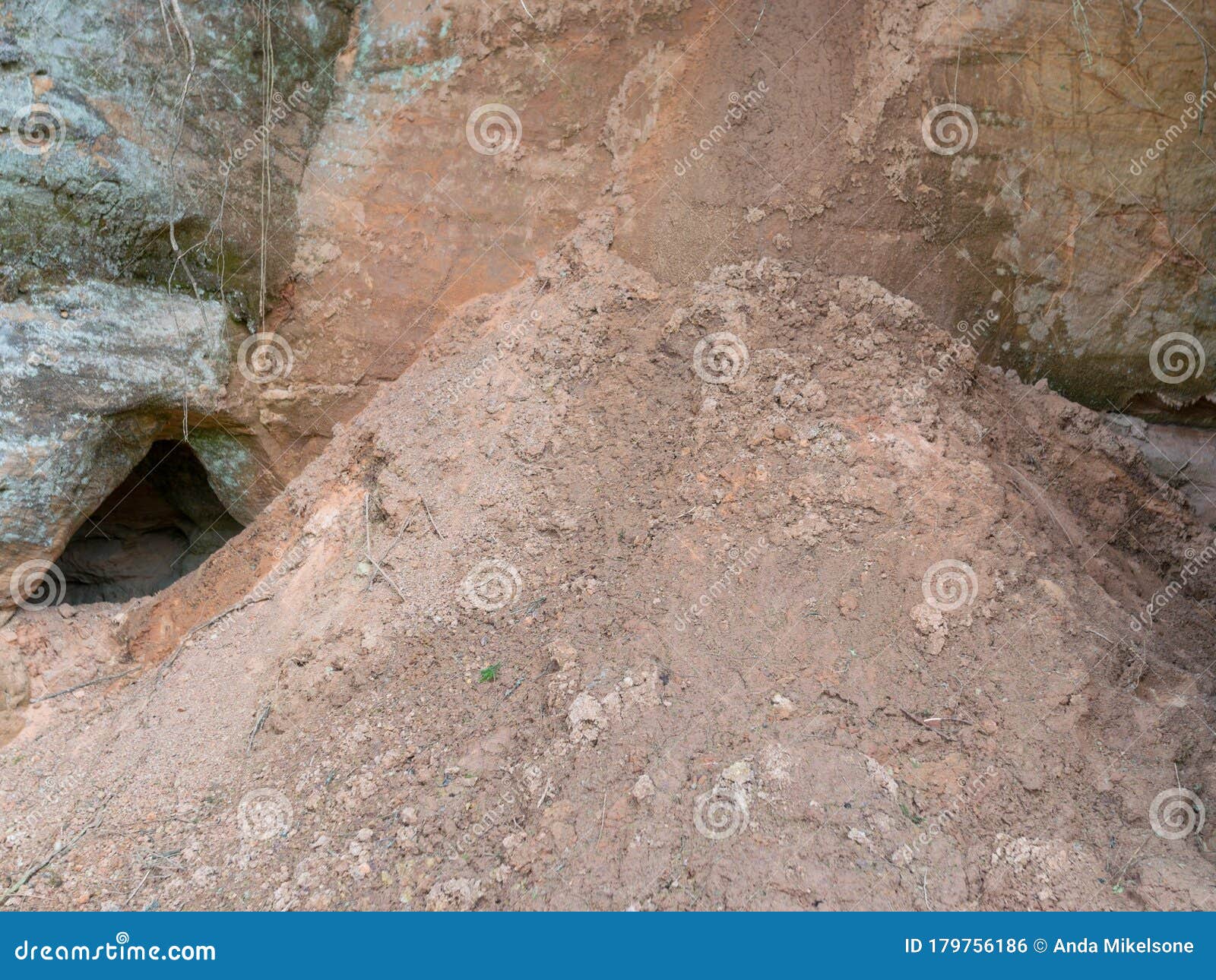 Picture with Sandstone Wall and Tree Roots Stock Photo - Image of ...