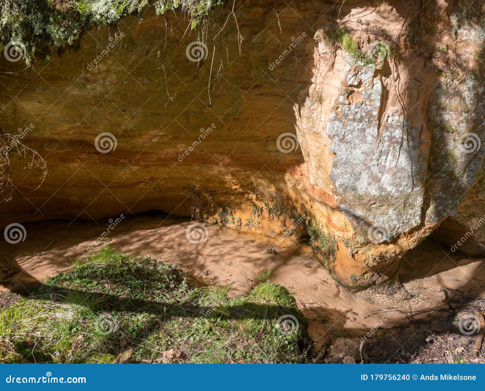 Picture with Sandstone Wall and Tree Roots Stock Photo - Image of rock ...
