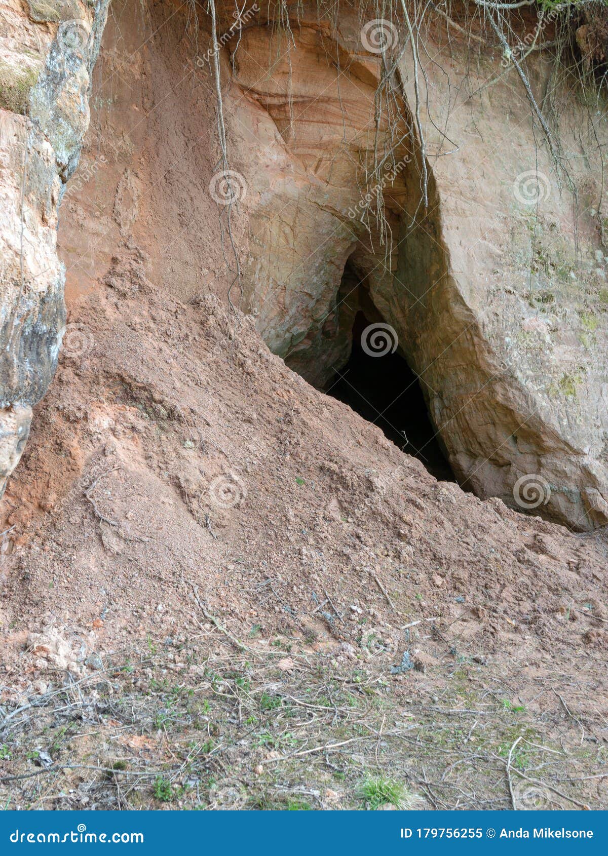 Picture with Sandstone Wall and Tree Roots Stock Image - Image of rock ...