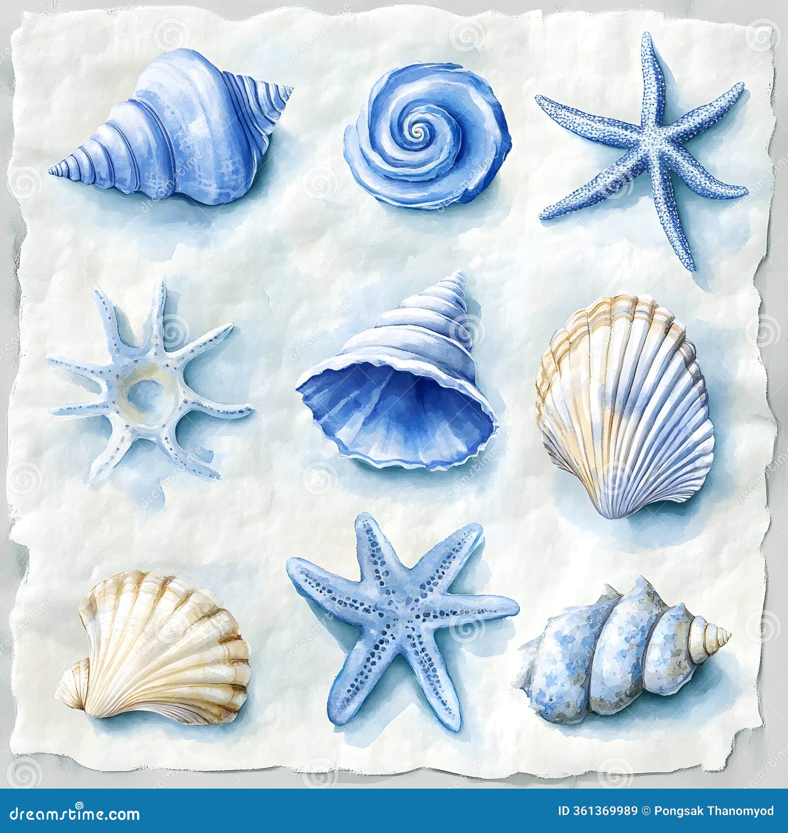 Picture of Several Types of Shells, Blue Starfish on a Light Blue ...