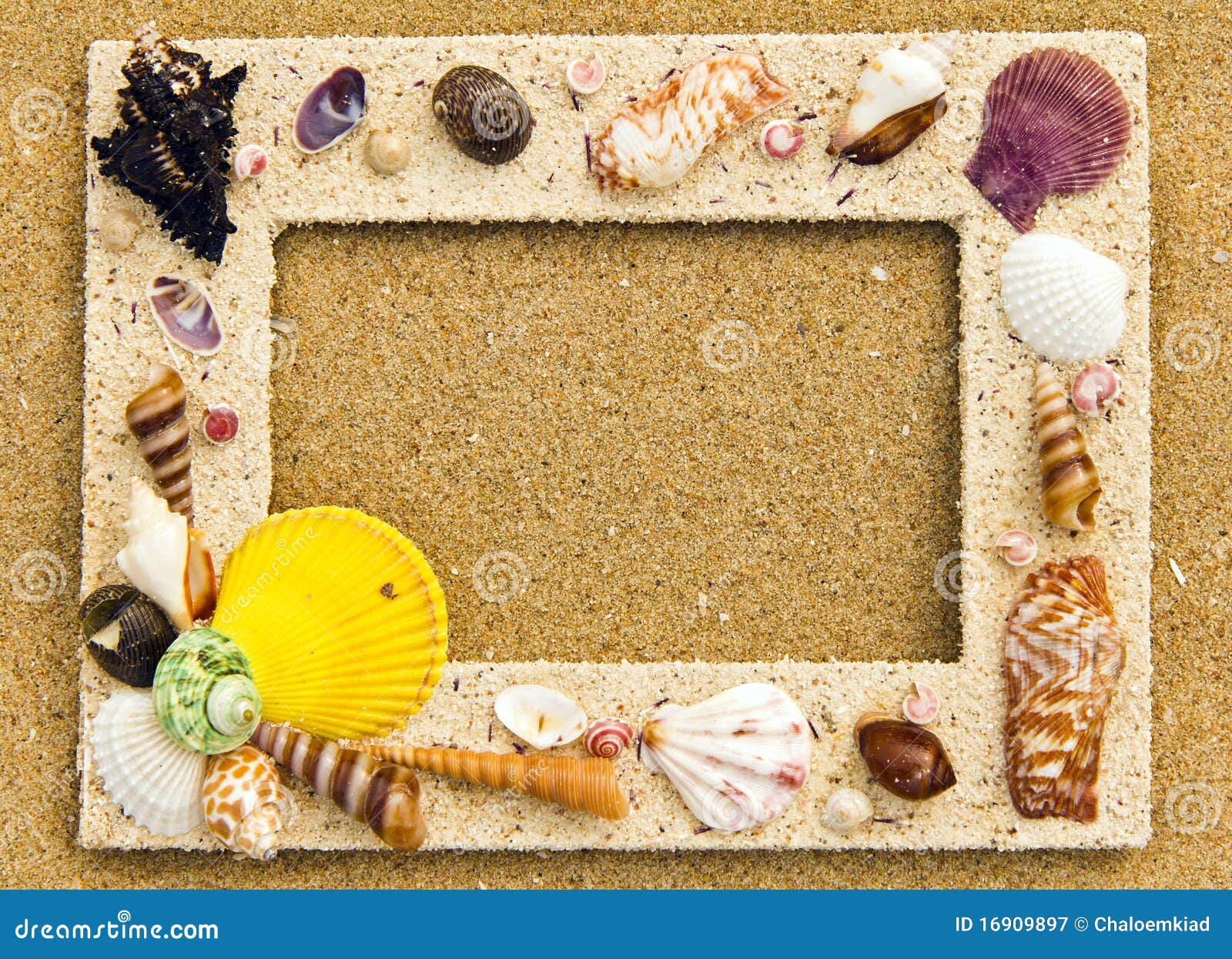 Picture shell frame stock image. Image of sand, ocean - 16909897