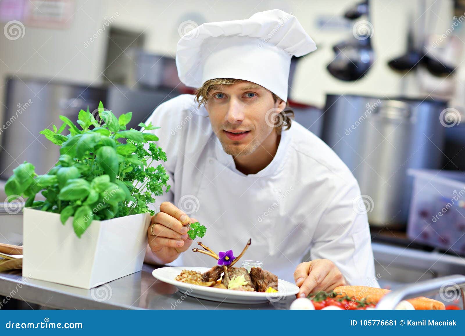 Busy Chef at Work in the Restaurant Kitchen Stock Image - Image of ...