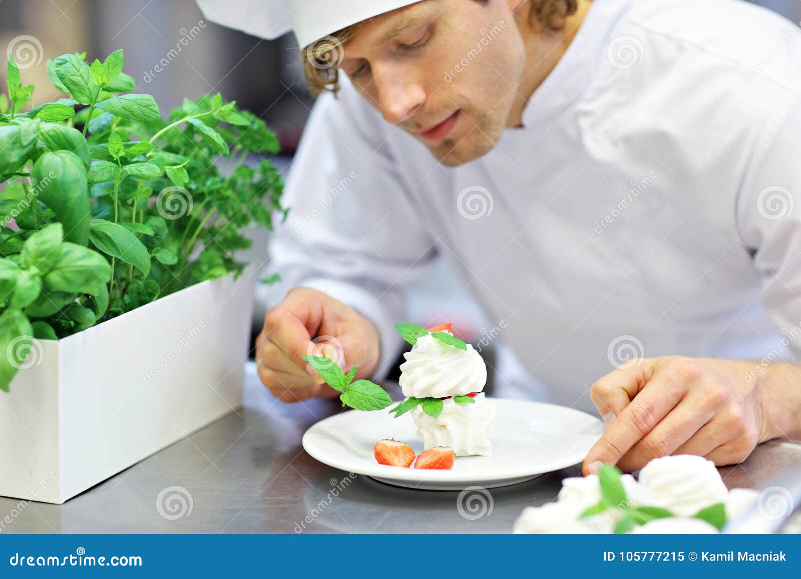 Busy Chef at Work in the Restaurant Kitchen Stock Image - Image of ...
