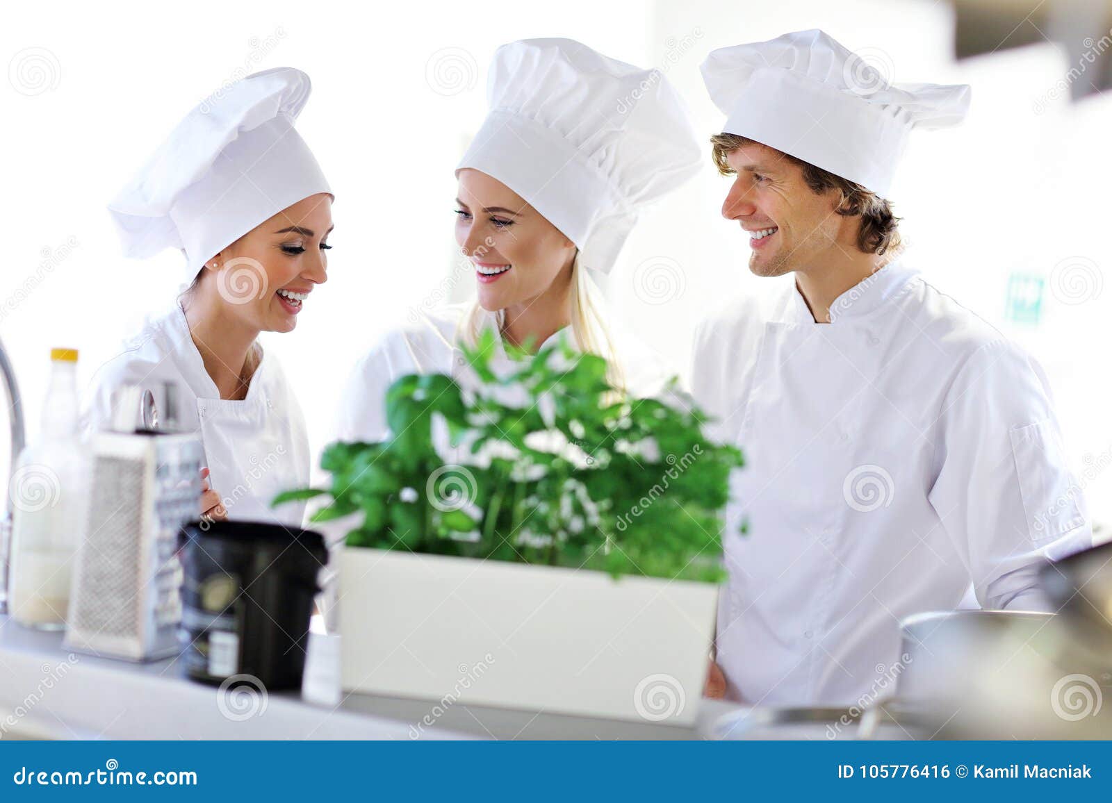 Busy Chefs at Work in the Restaurant Kitchen Stock Photo - Image of ...