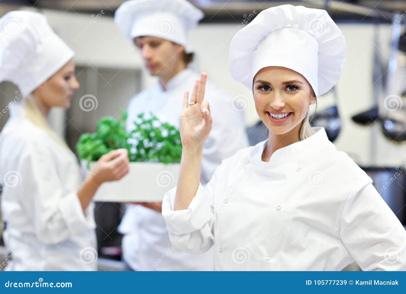 Busy Chefs at Work in the Restaurant Kitchen Stock Image - Image of ...