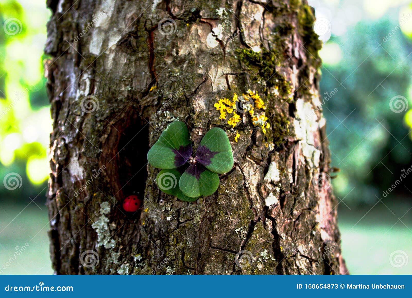 Different Luck Symbols on a Tree Stock Image - Image of fourleaved ...