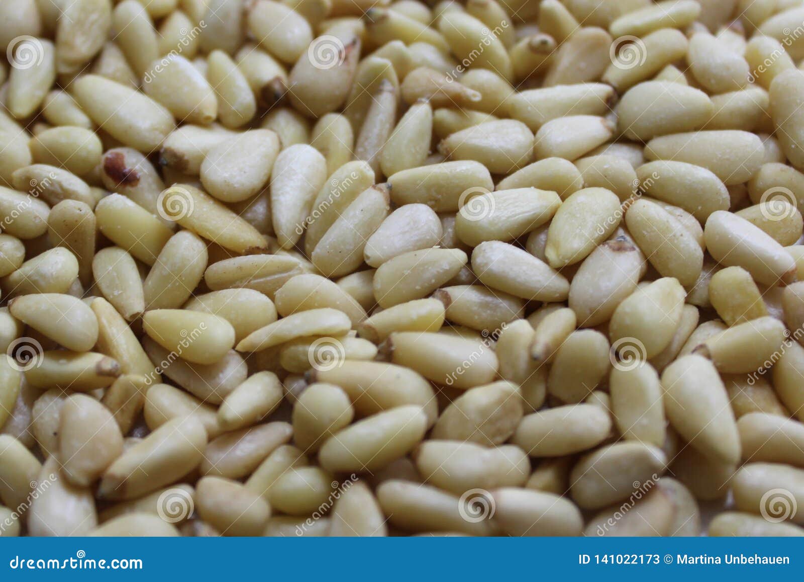 Pine kernels stock image. Image of delicious, pinus - 141022173