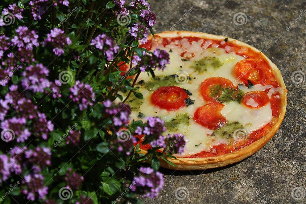 Pizza on a thyme field stock photo. Image of cooking - 147701252