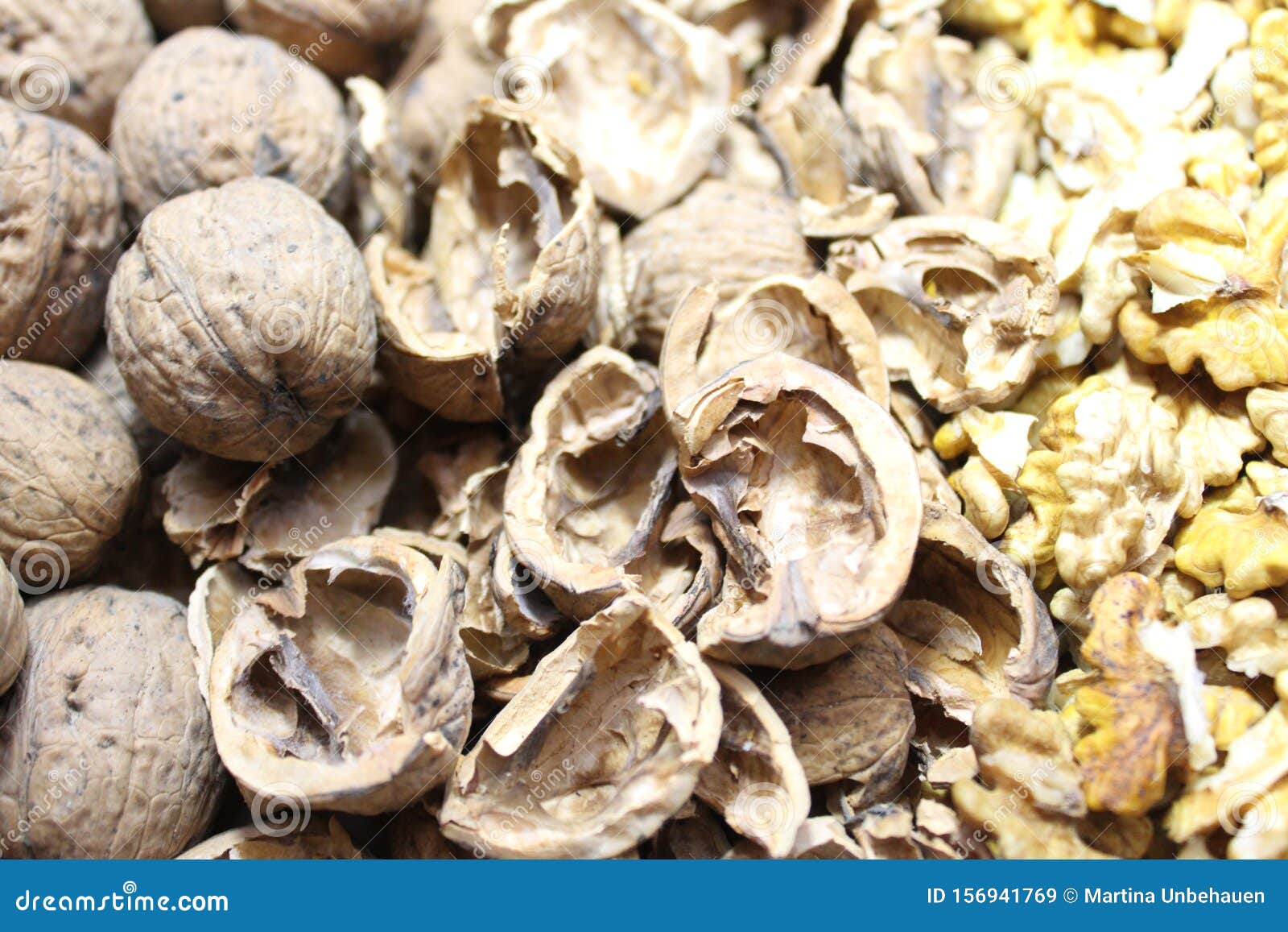 Walnuts, Walnut Shell and Walnut Kernels Stock Image - Image of ...