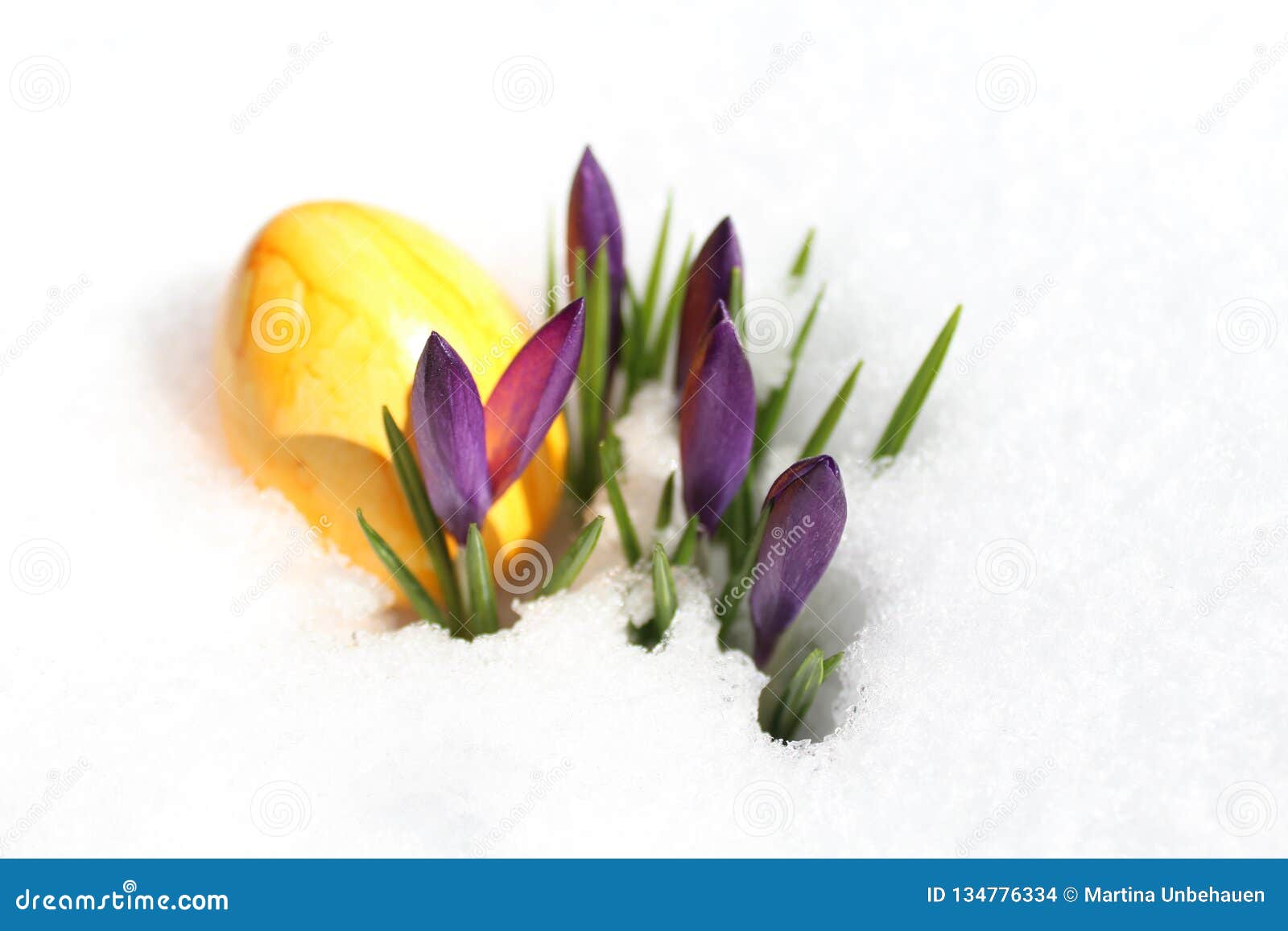 Wonderful Easter Decoration in the Snow Stock Photo - Image of ...