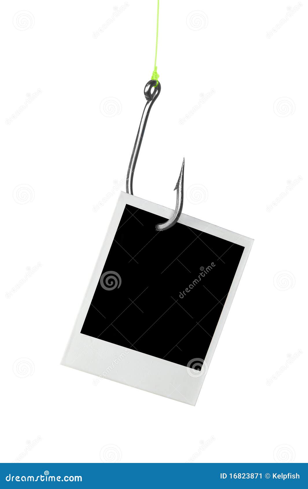 Snagged Fish Stock Photos - Free & Royalty-Free Stock Photos from ...