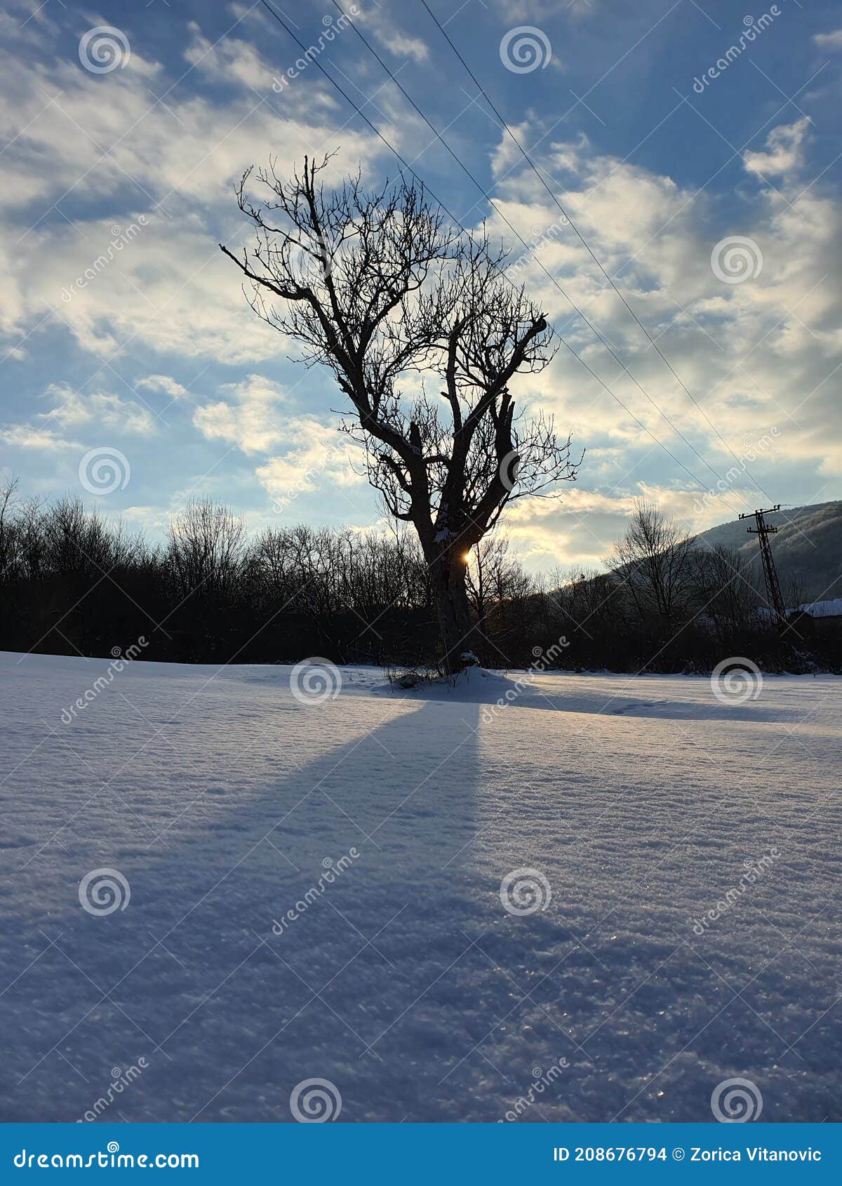 Snow day in winter stock photo. Image of dusk, sunlight - 208676794
