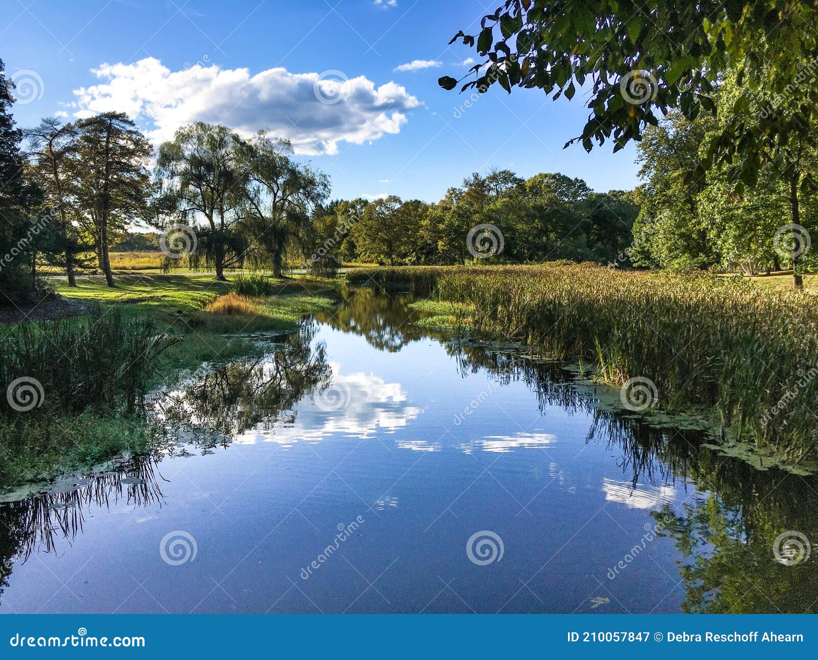 Still Waters on river pond stock image. Image of cartoon - 210057847