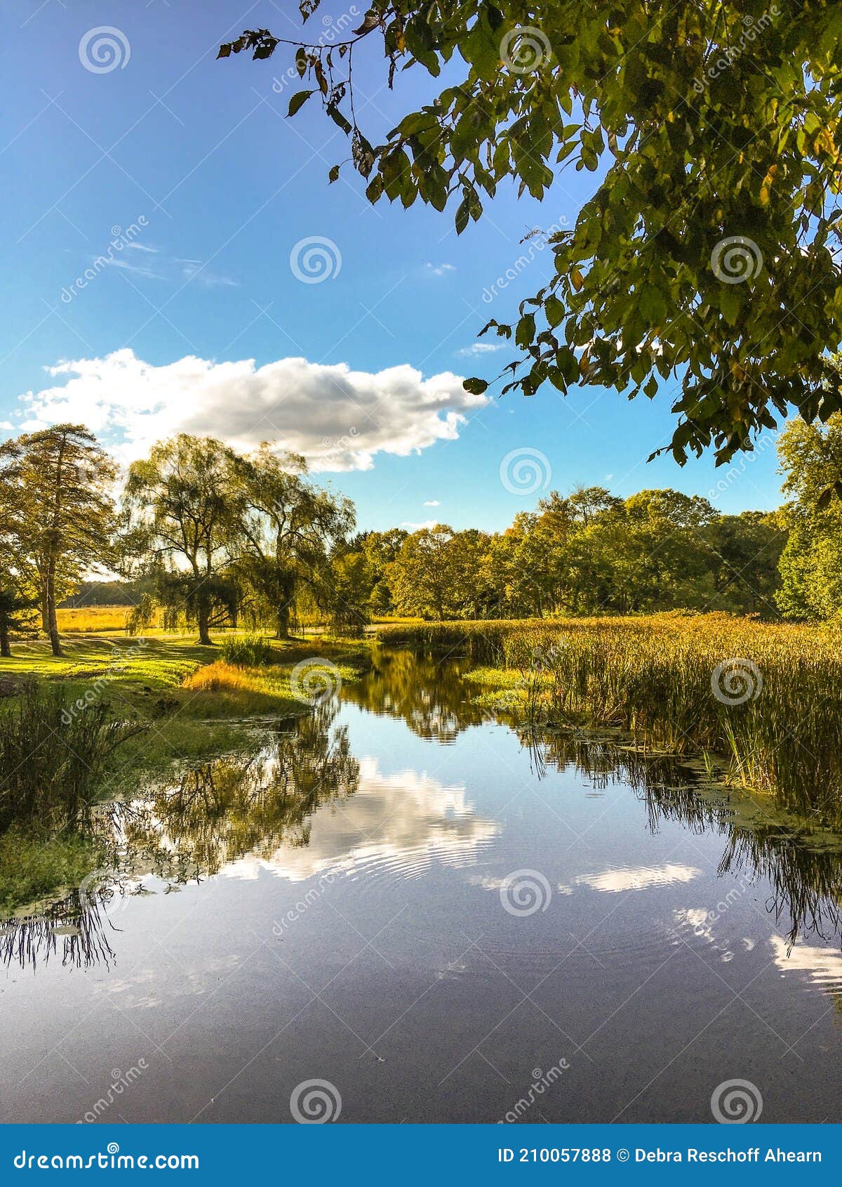 Still Waters on river pond stock photo. Image of graphic - 210057888