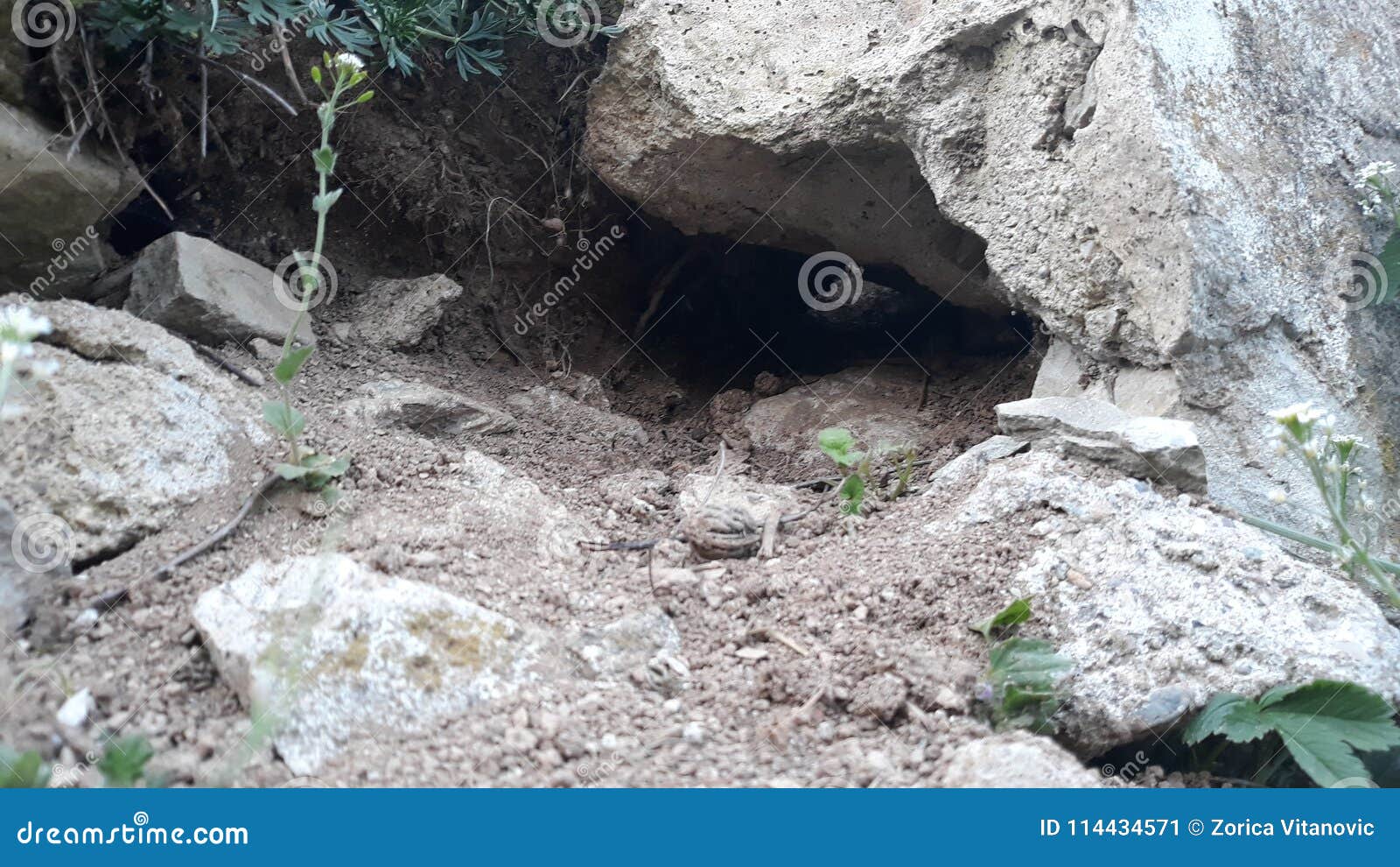 Stone cave in mountain stock image. Image of stone, mountain - 114434571