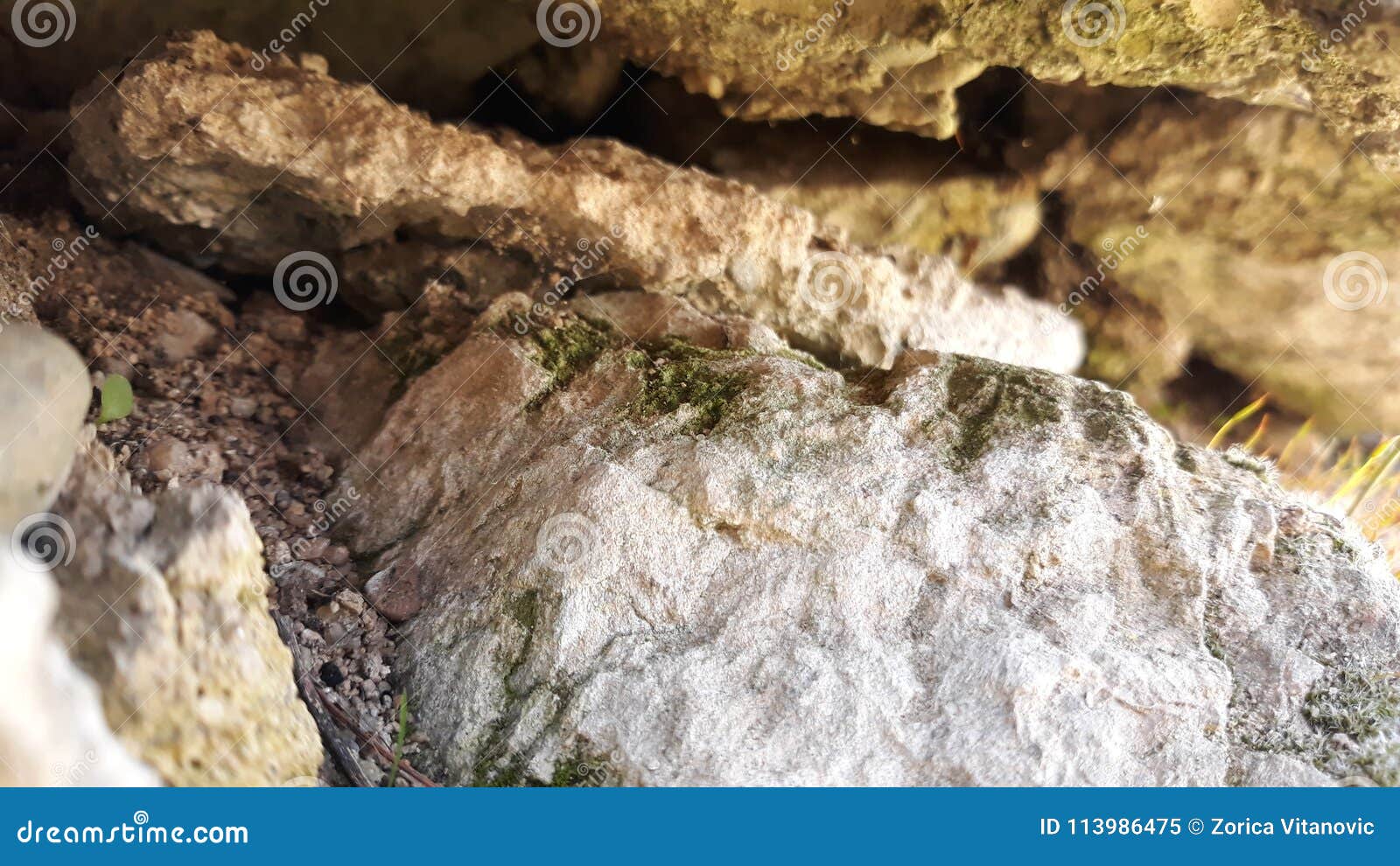 Stone Mountain Cave with Moss Stock Image - Image of yellow, moss ...
