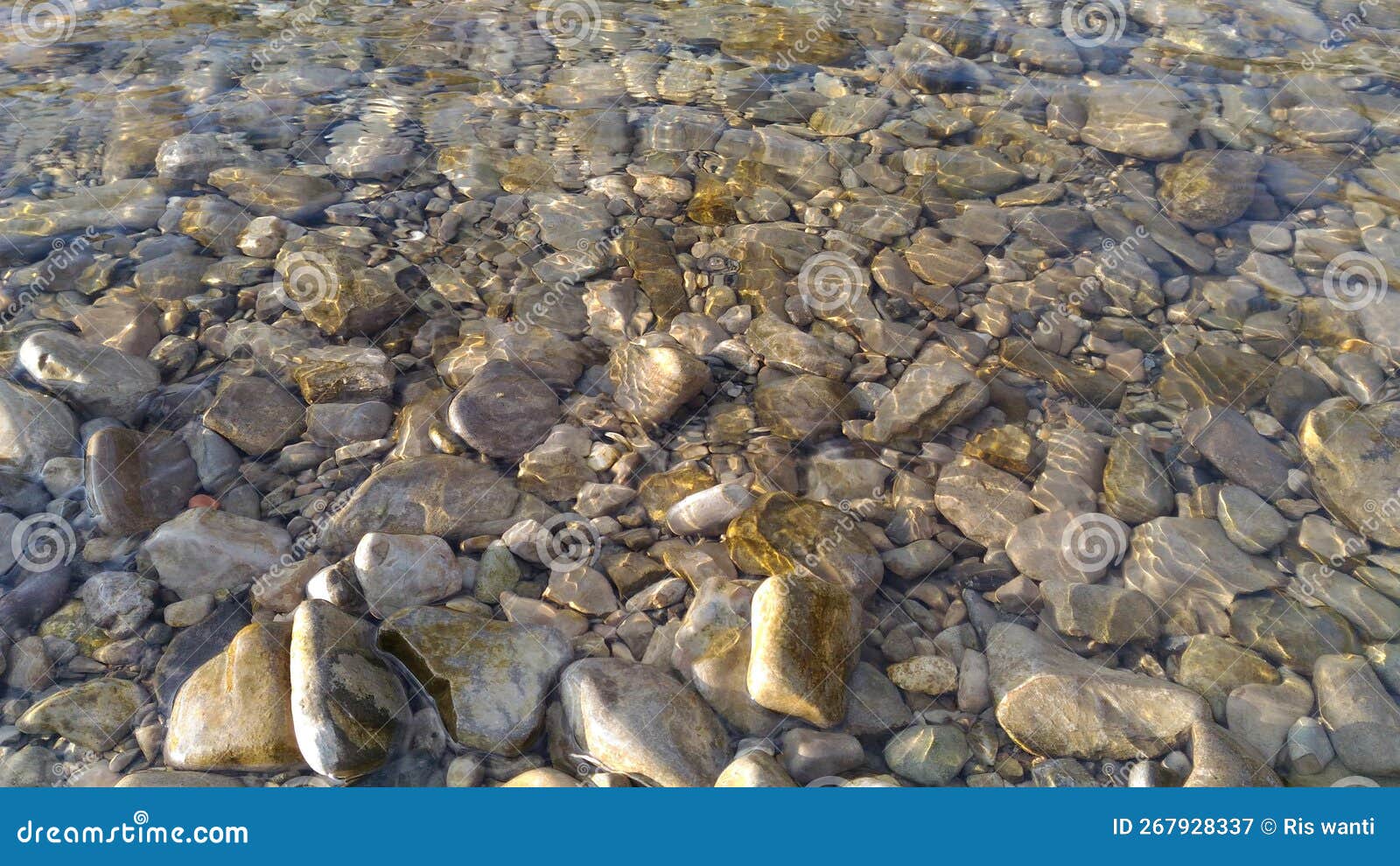 Picture of Stones Under Clear River Water Stock Image - Image of clear ...