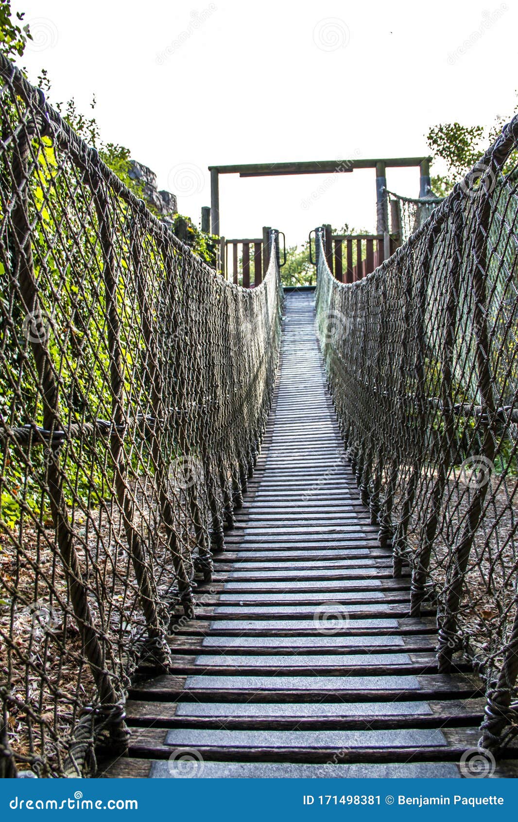 Suspension Footbridge Going through a Park Stock Image - Image of ...