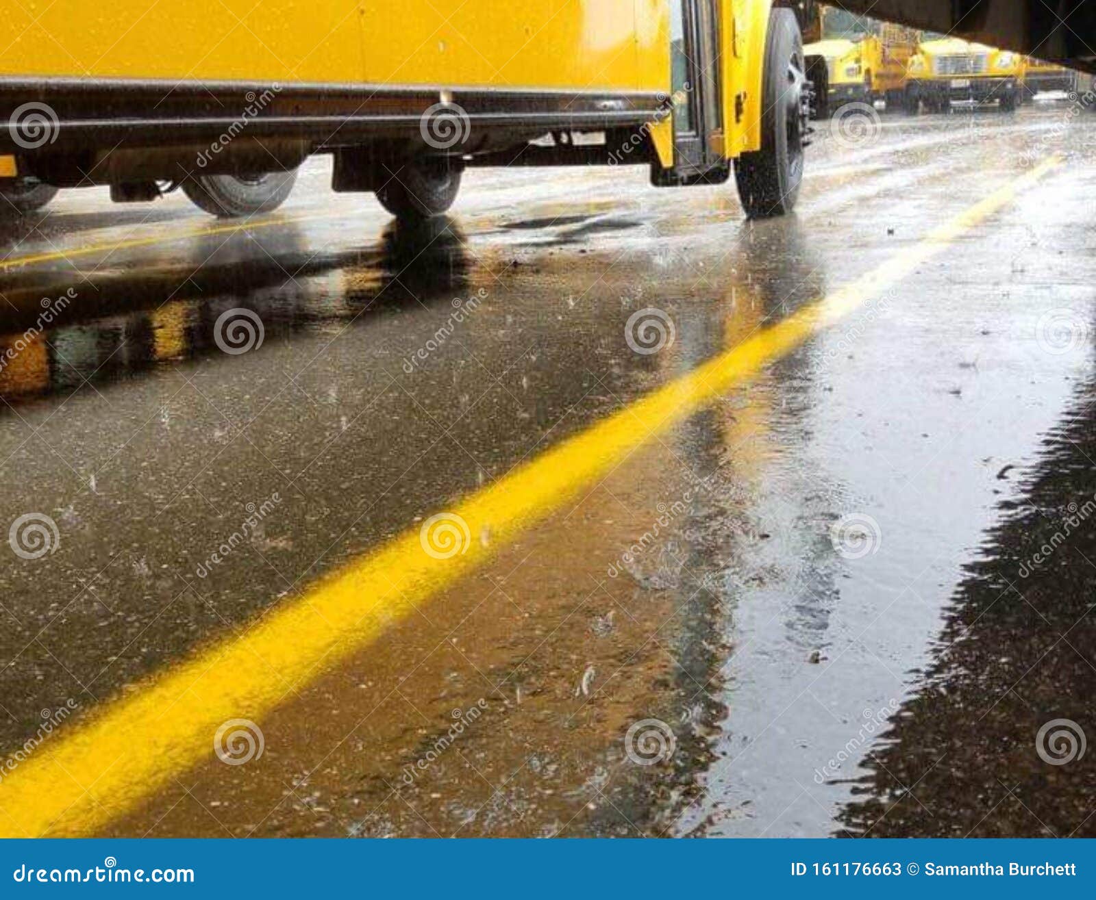 Picture Taken Under a Bus while it Was Raining Stock Image - Image of ...