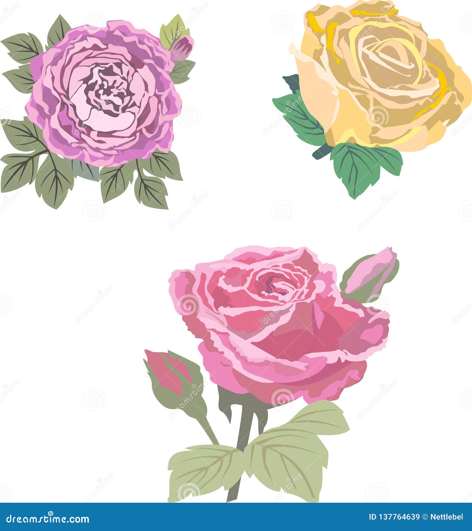 Picture of Three Vector Roses Stock Vector - Illustration of flowers ...