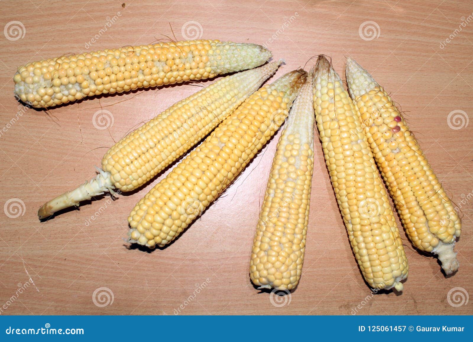 Corn in Lines on Table Flash Photography Stock Image - Image of ...