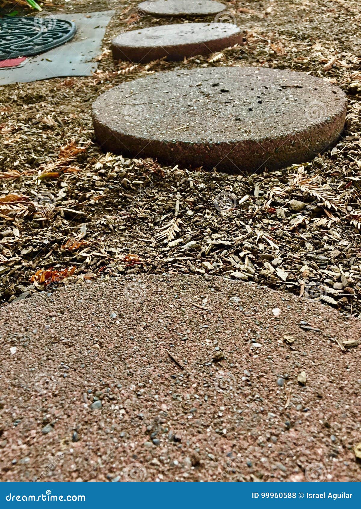 Leading the Path stock photo. Image of path, stepping - 99960588