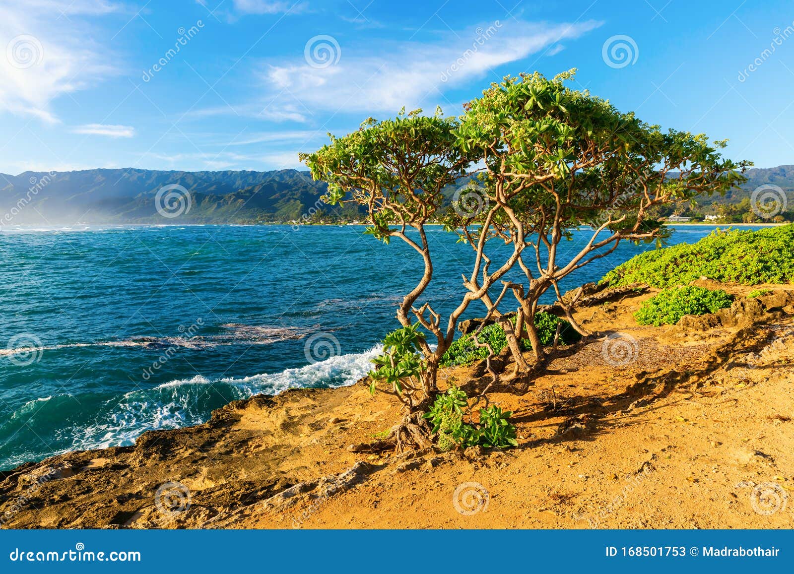 View at Laie Point on Oahu, Hawaii Stock Image - Image of oahu ...