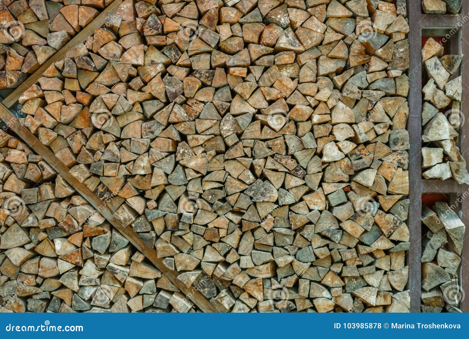 Picture With Sawn Spruce, Round Pieces Of Wood In The Ground Stock ...