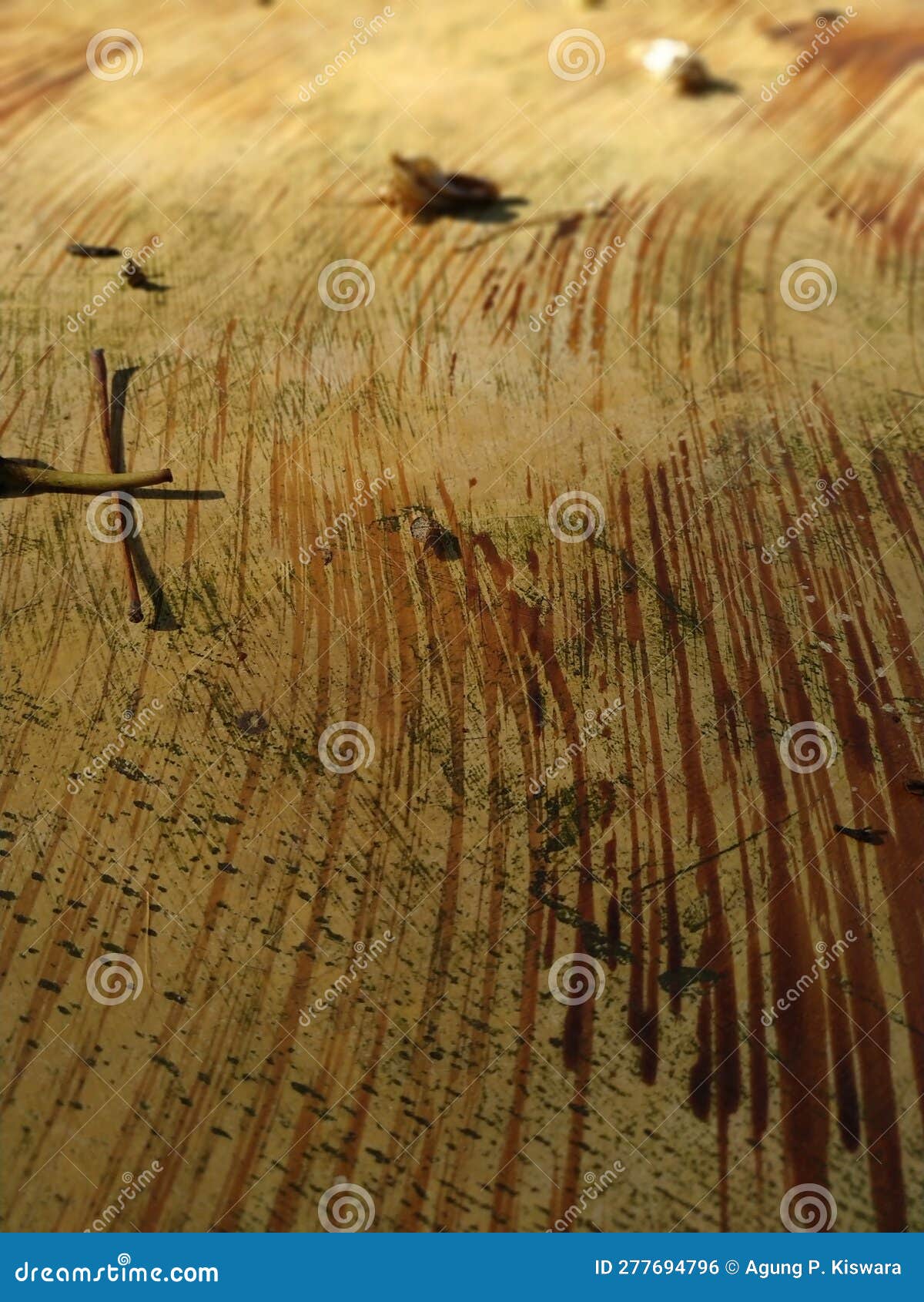 Wood Random Scene Pattern Under the Light Stock Photo - Image of wood ...