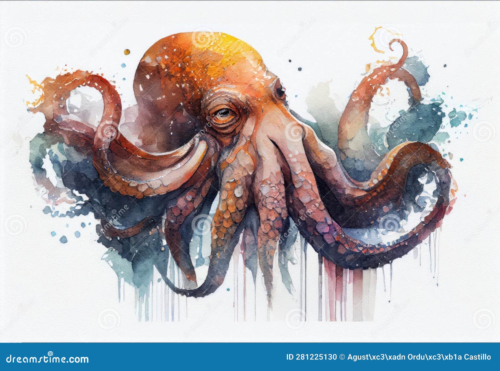 Picture of a Watercolor Drawing of a Giant Octopus. Stock Illustration ...