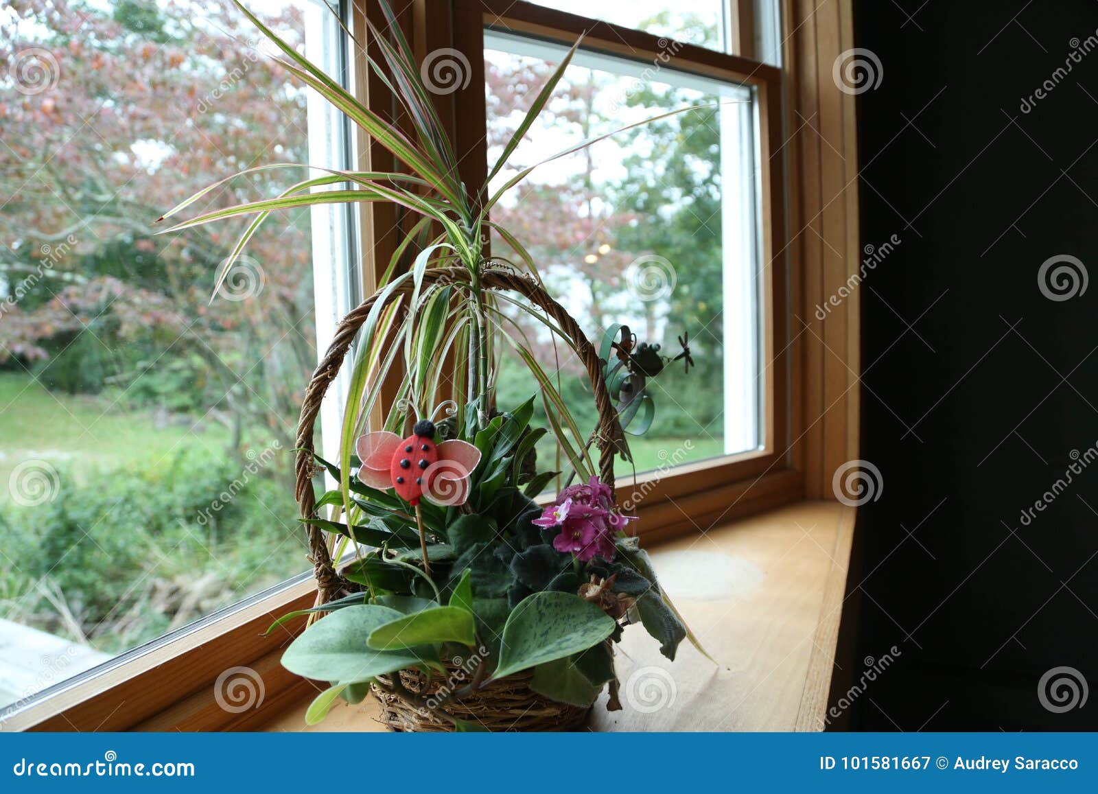 Picture Window View stock image. Image of white, blurred - 101581667