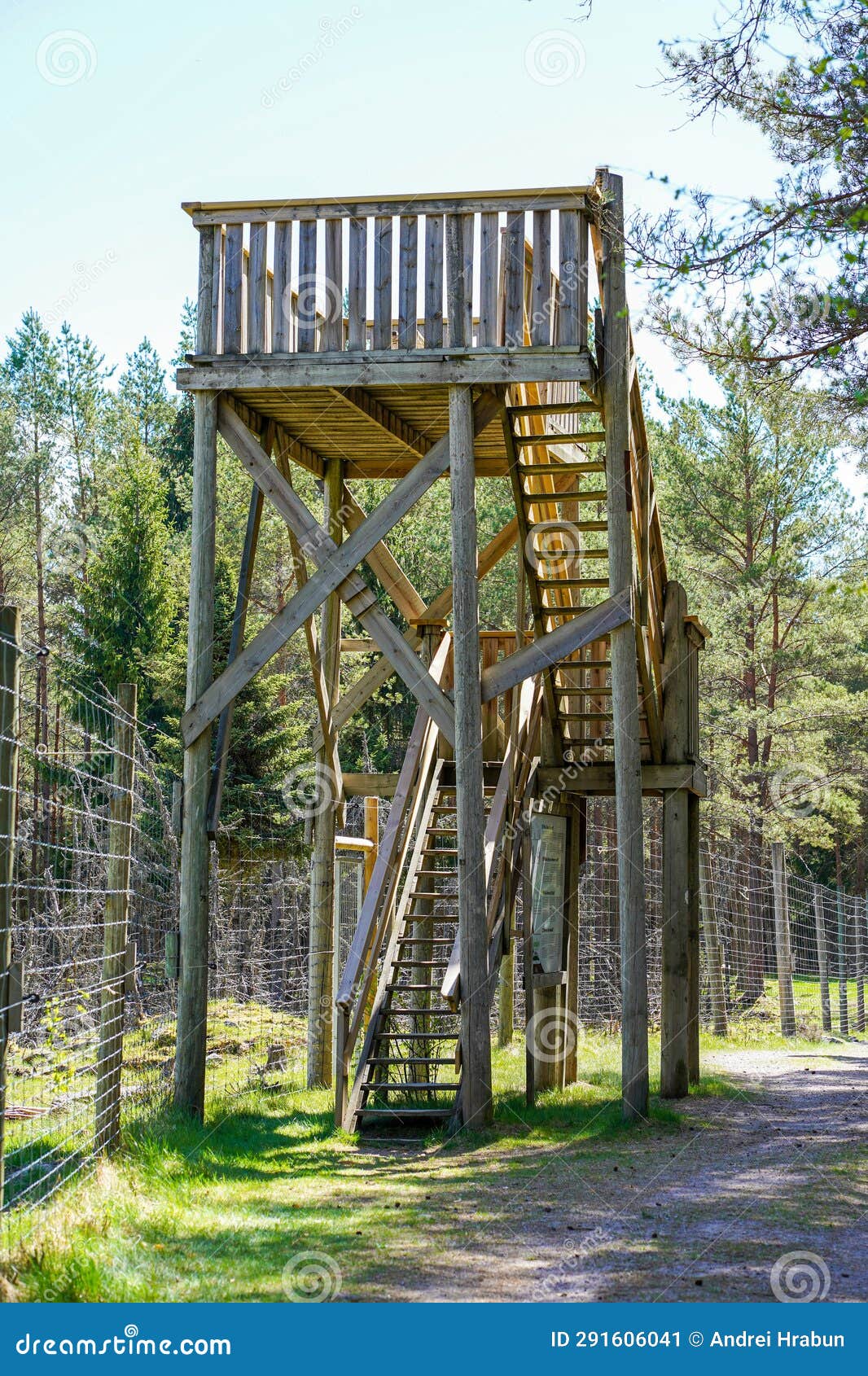 Picture of Wooden Bird Watching Tower in the Forest Stock Image - Image ...