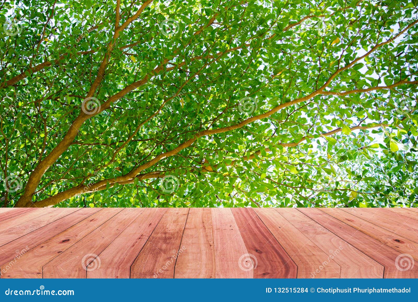 A Picture of a Wooden Desk in Front of an Abstract Tree Background ...
