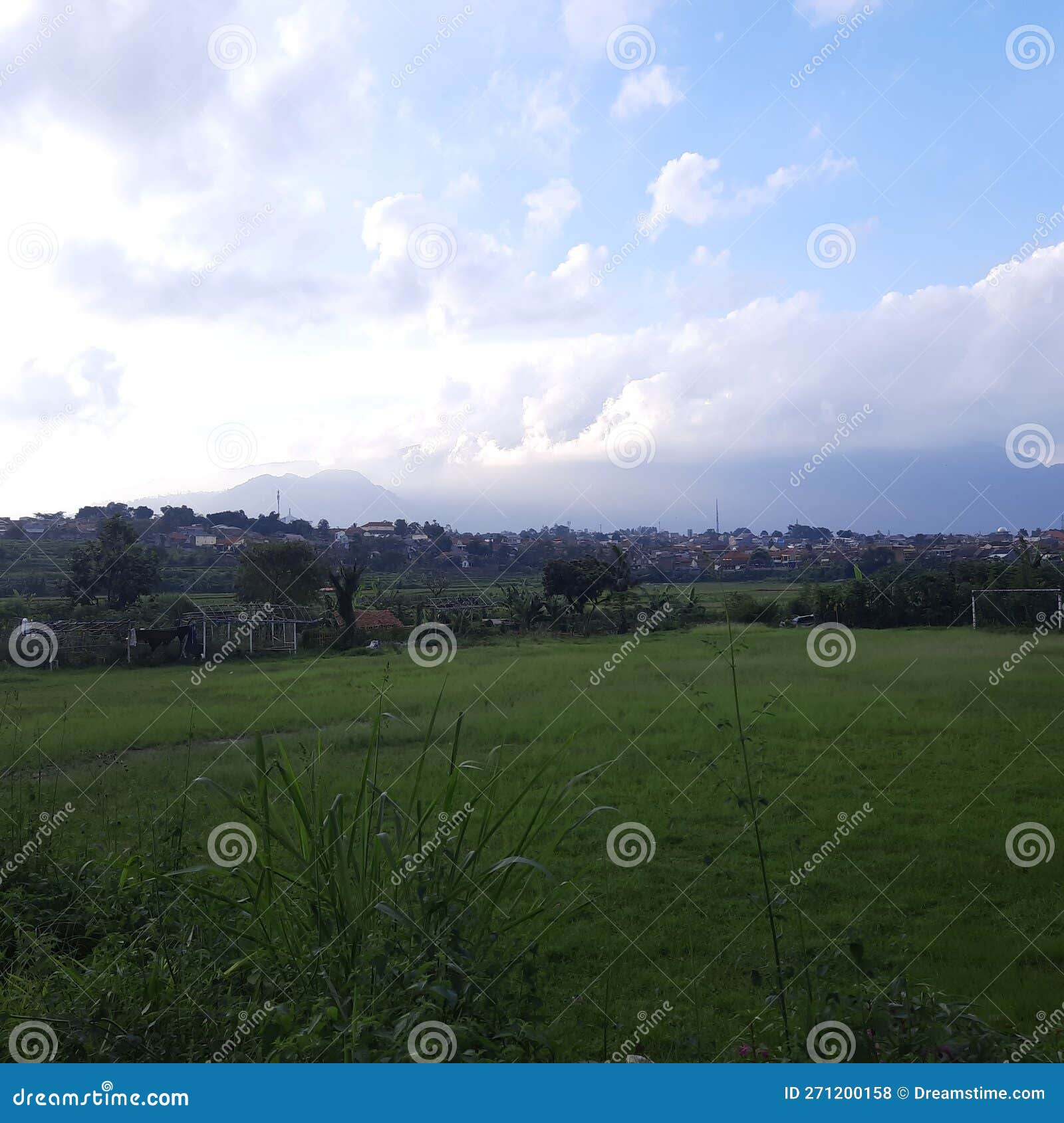 Picture of the World, Nature and Green Fields Stock Photo - Image of ...