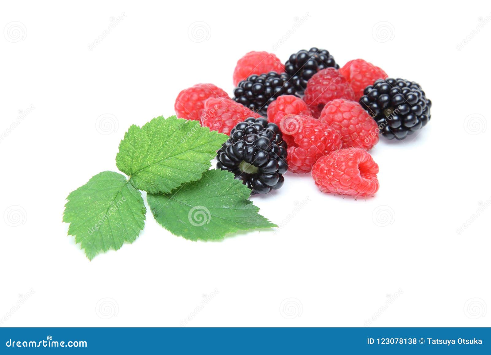 Blackberries and Raspberries in a White Background Stock Photo - Image ...